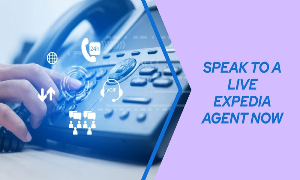 Expedia Customer Service Number Live Person Bux Vertise