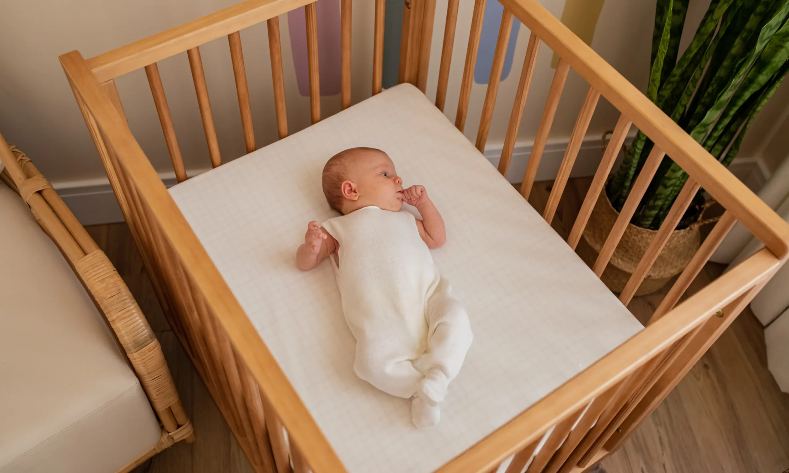 Safe & Stylish Sleep Spaces for Babies: Exploring Crib Canopy Options ...