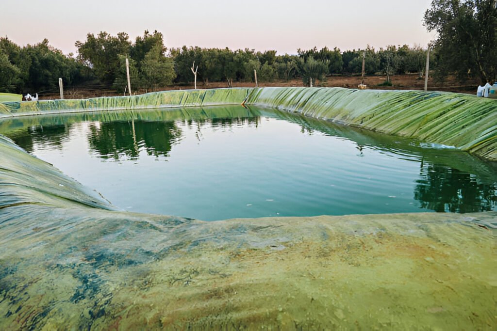 Compelling Reasons to Choose Heavy-Duty Pond Liners - Buxvertise